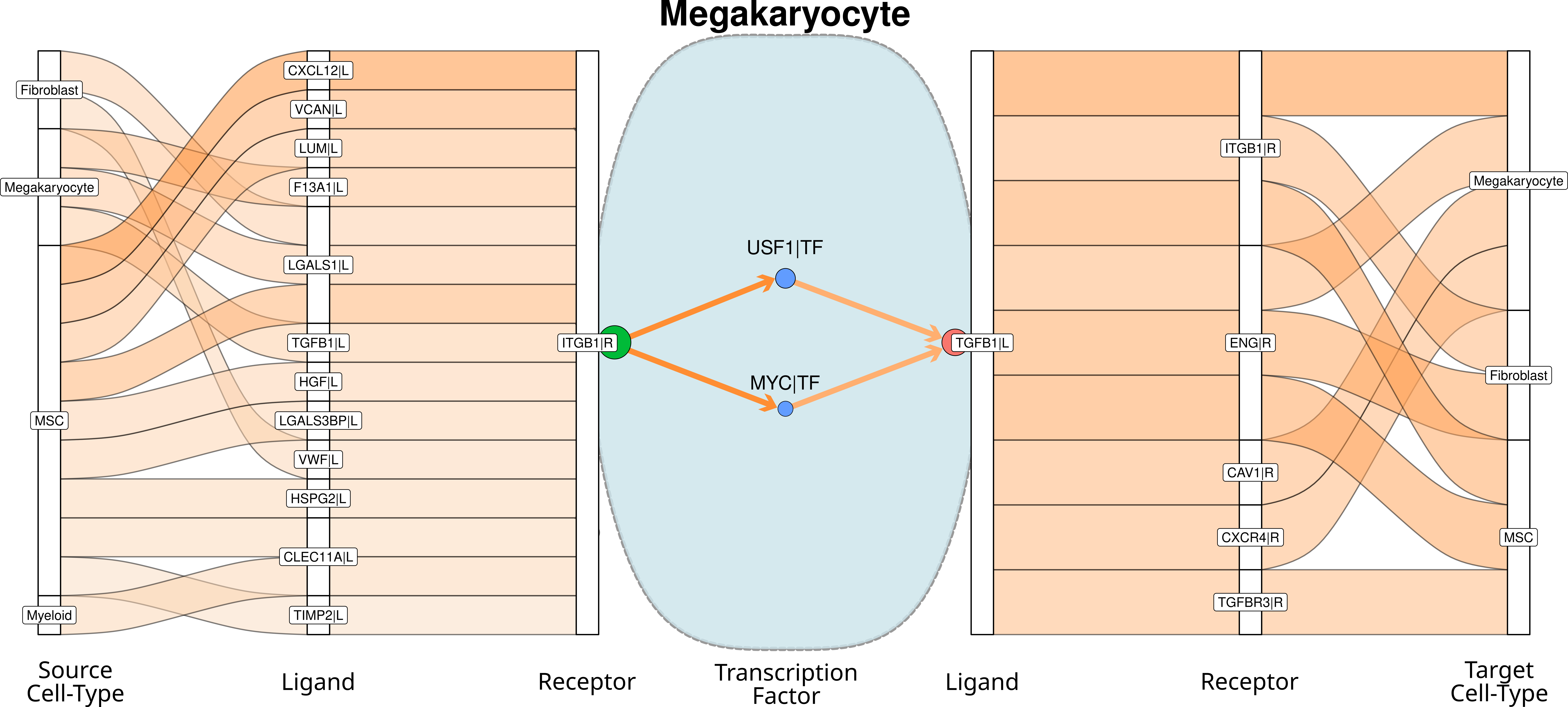 Intracellular Communication Analysis • CrossTalkeR